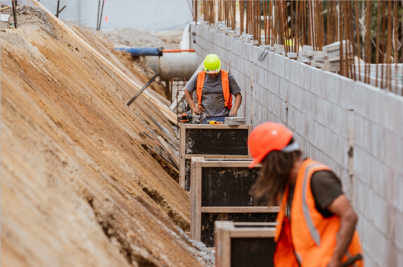 Consultation is open on proposed changes to occupational regulation ...